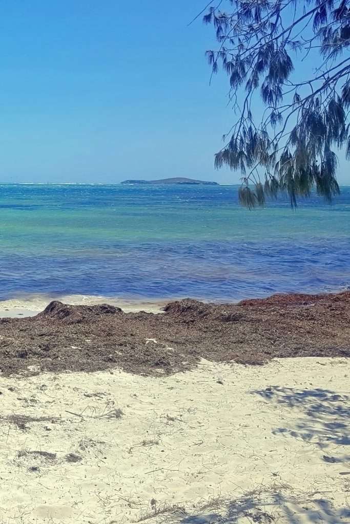 Lance Beach-01 ai – Lancelin Angling & Aquatic Club (Inc)